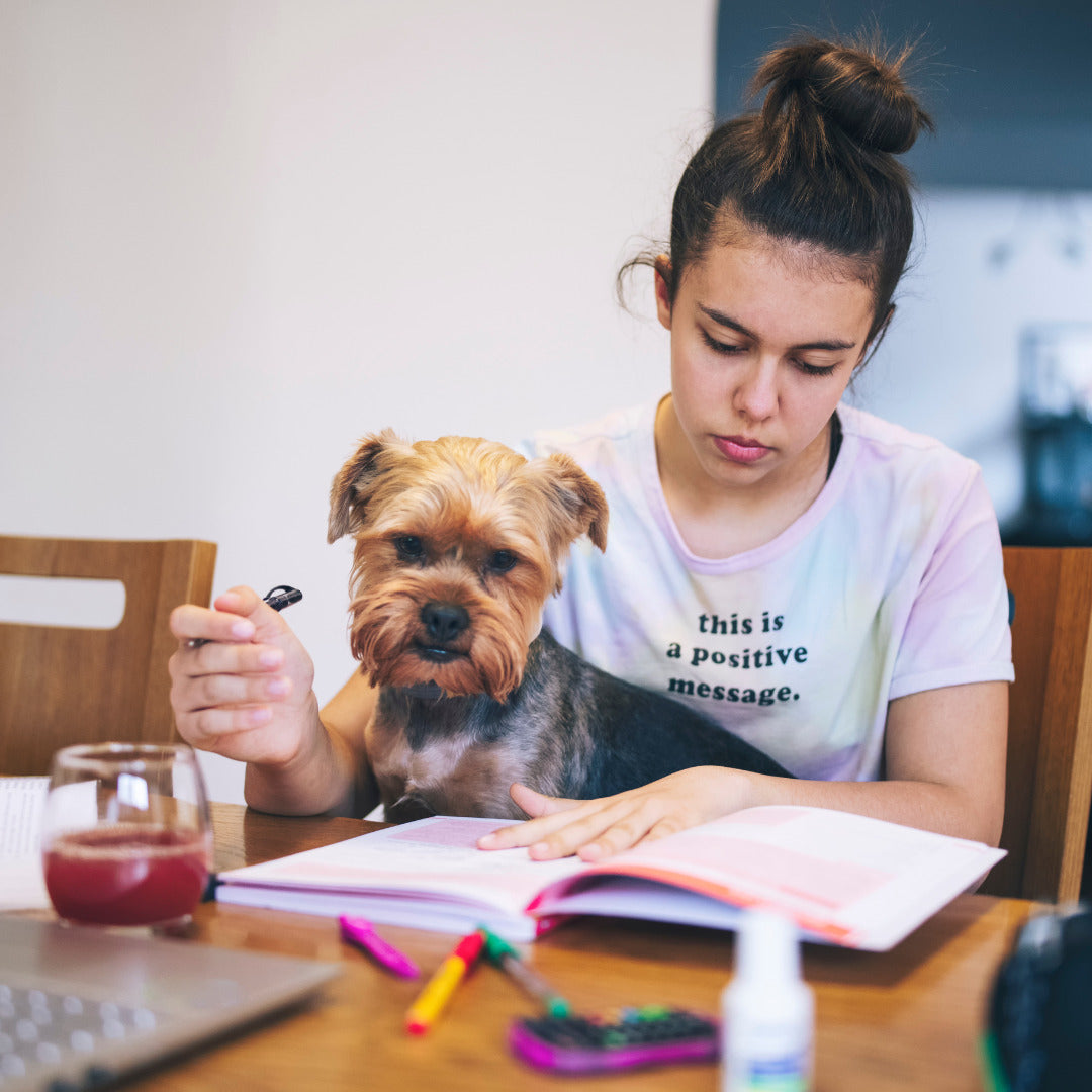 Benefits Of Studying With Your Dog – Oliver Pet Care Solutions Pvt Ltd