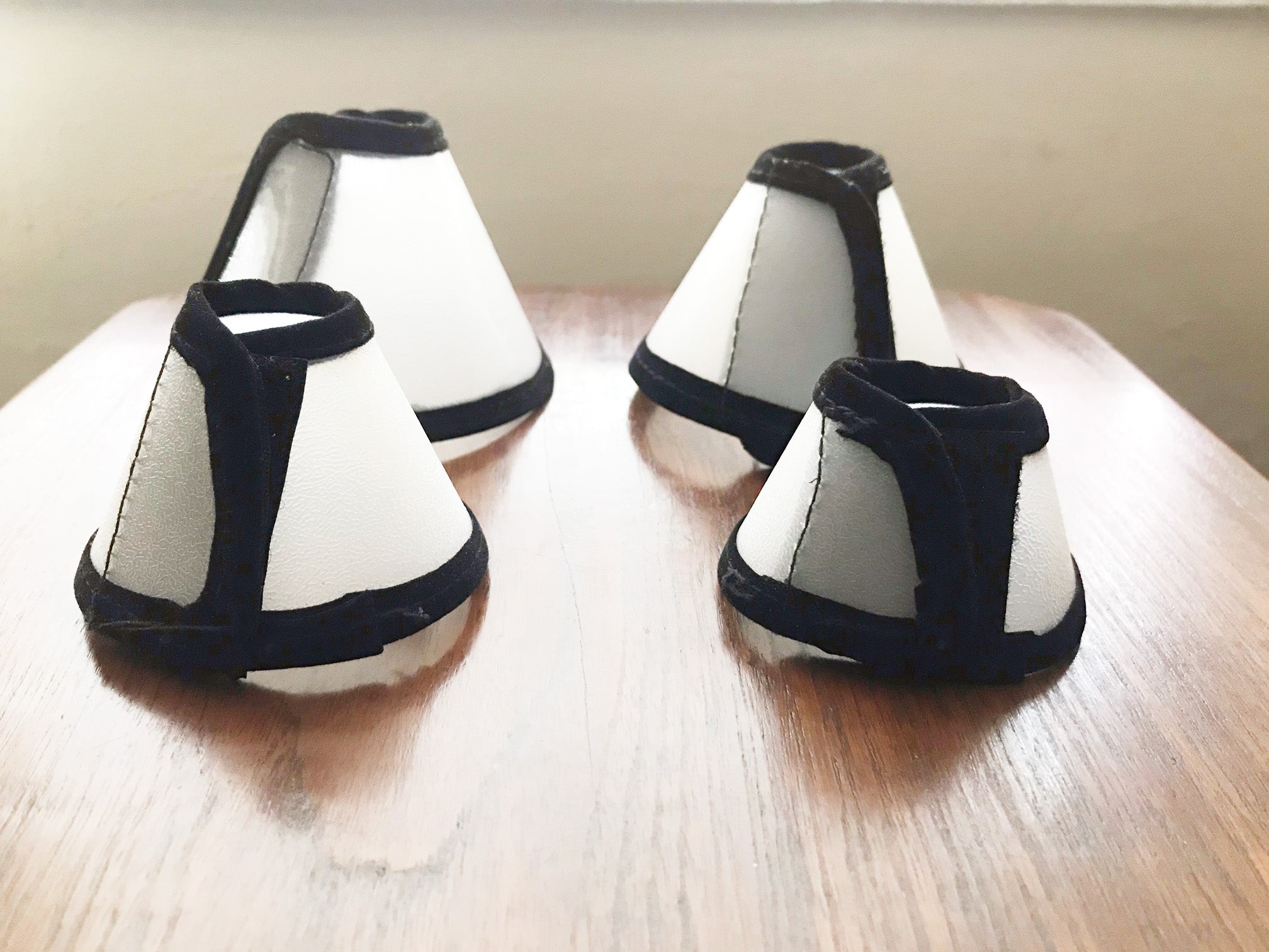 E Collars for Birds & Small Animals – Oliver Pet Care Solutions Pvt Ltd