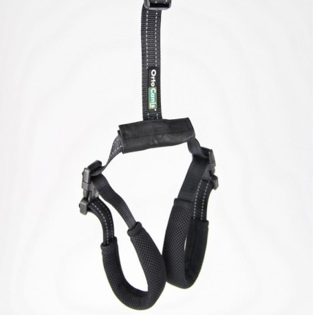Rear Support Harness for Dogs – Oliver Pet Care Solutions Pvt Ltd