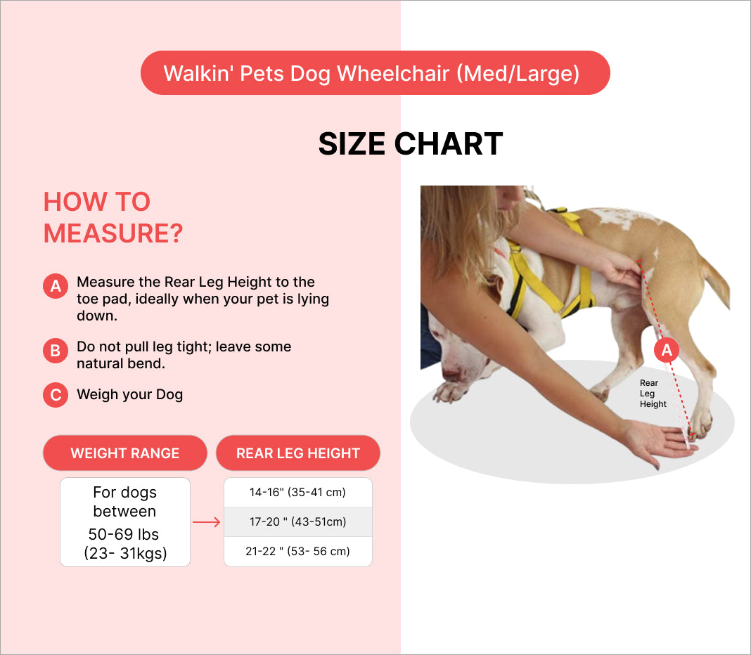 Walkin' Pets Dog Wheelchair Large – Oliver Pet Care Solutions Pvt Ltd