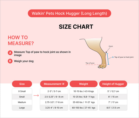 Walkin' Pets Hock Hugger (Long Length) – Oliver Pet Care Solutions Pvt Ltd